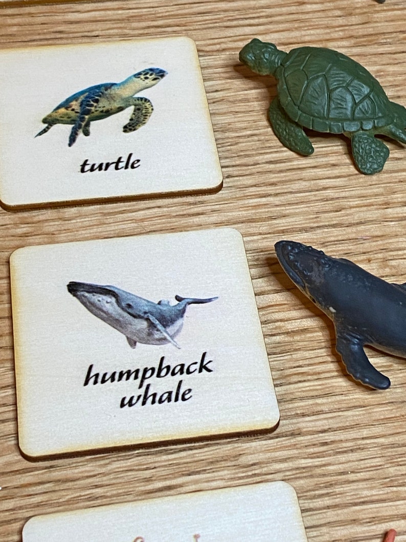 Montessori Sea Life Animal Toys With Wooden Matching Cards - Etsy