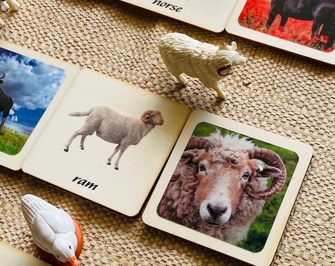 3 Parts Montessori and Waldorf Learning Farm Animals - Etsy