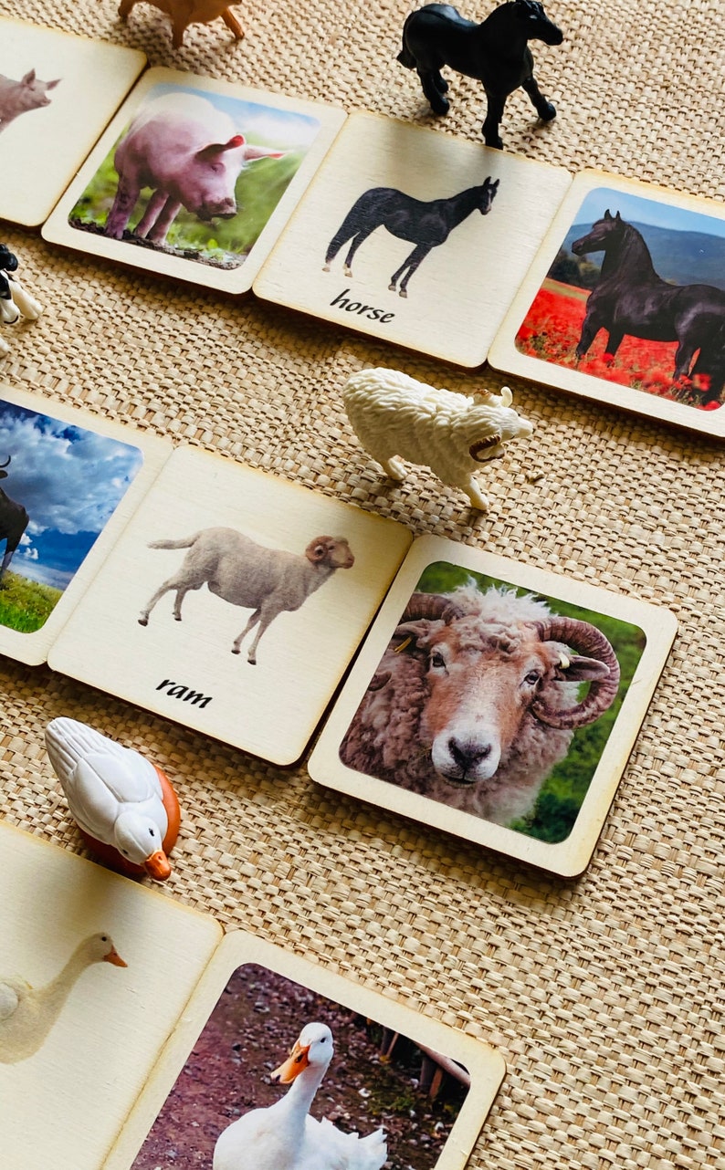 Montessori Farm Animal Matching Game – Wooden Cards Homeschool Toy - Etsy
