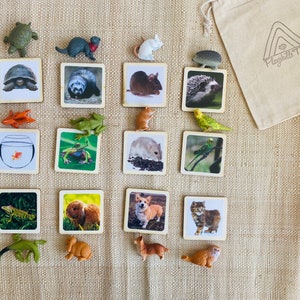 Montessori and Waldorf Learning Pet Safari Ltd Animals Sustainable ...