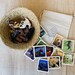 North American Wildlife Matching Game, Montessori Animal Cards, Waldorf ...