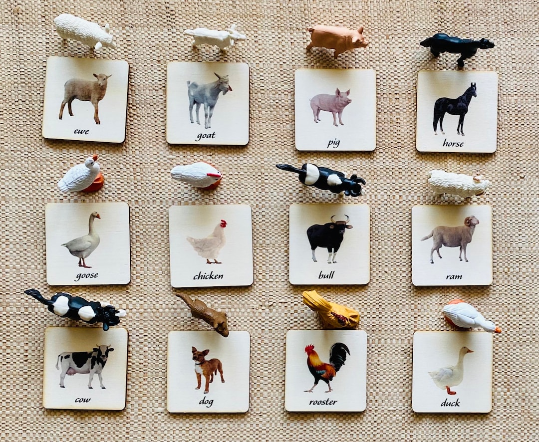 Montessori and Waldorf Learning Farm Animal, Sustainable Match Toys ...