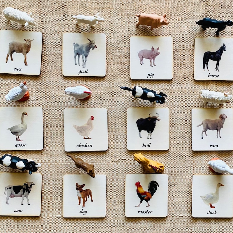 PlaySkillstoys - Etsy