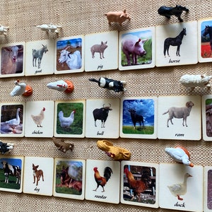 3 - Parts Montessori and Waldorf Learning Farm Animals Sustainable ...