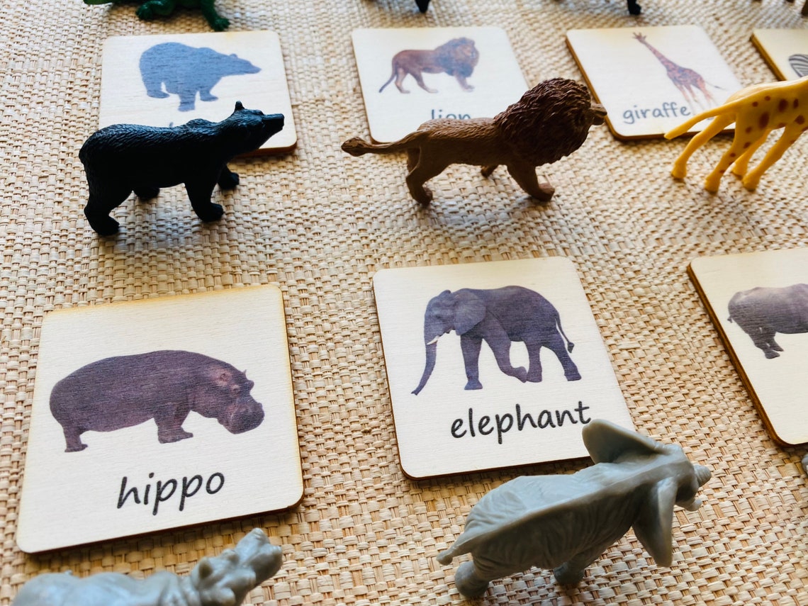 Montessori and Waldorf Learning Wild Animals Sustainable Match Toys ...