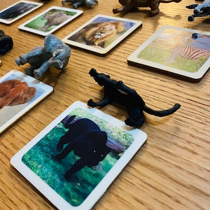 Montessori Wild Animals With Figurines Safari Toob Ltd , Matching Game ...