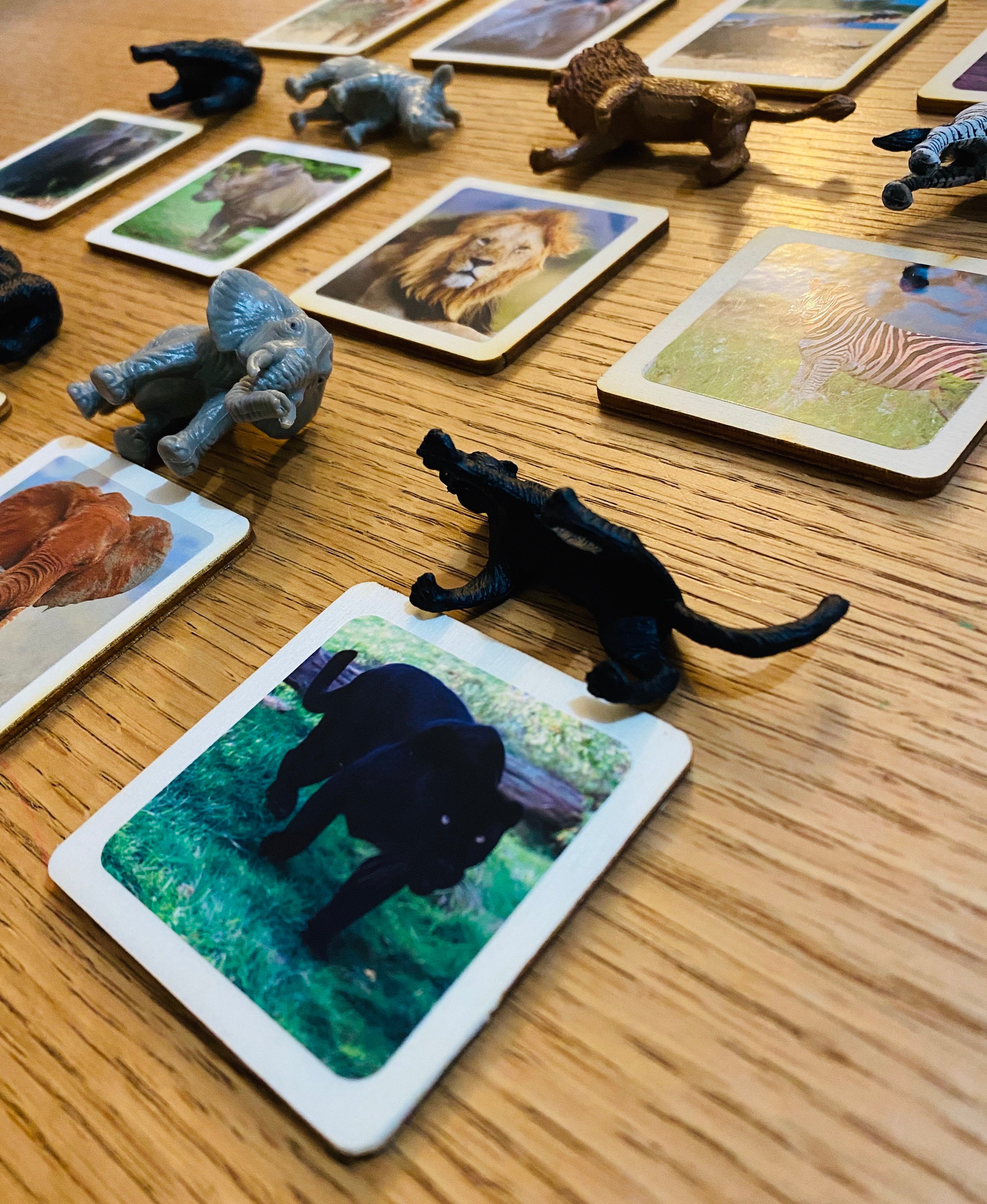 Montessori Wild Animals With Figurines Safari Toob Ltd , Matching Game ...