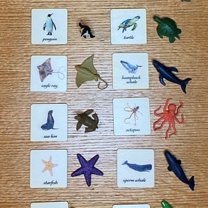 Montessori and Waldorf Learning Sea Life Animals Sustainable Match Toys ...