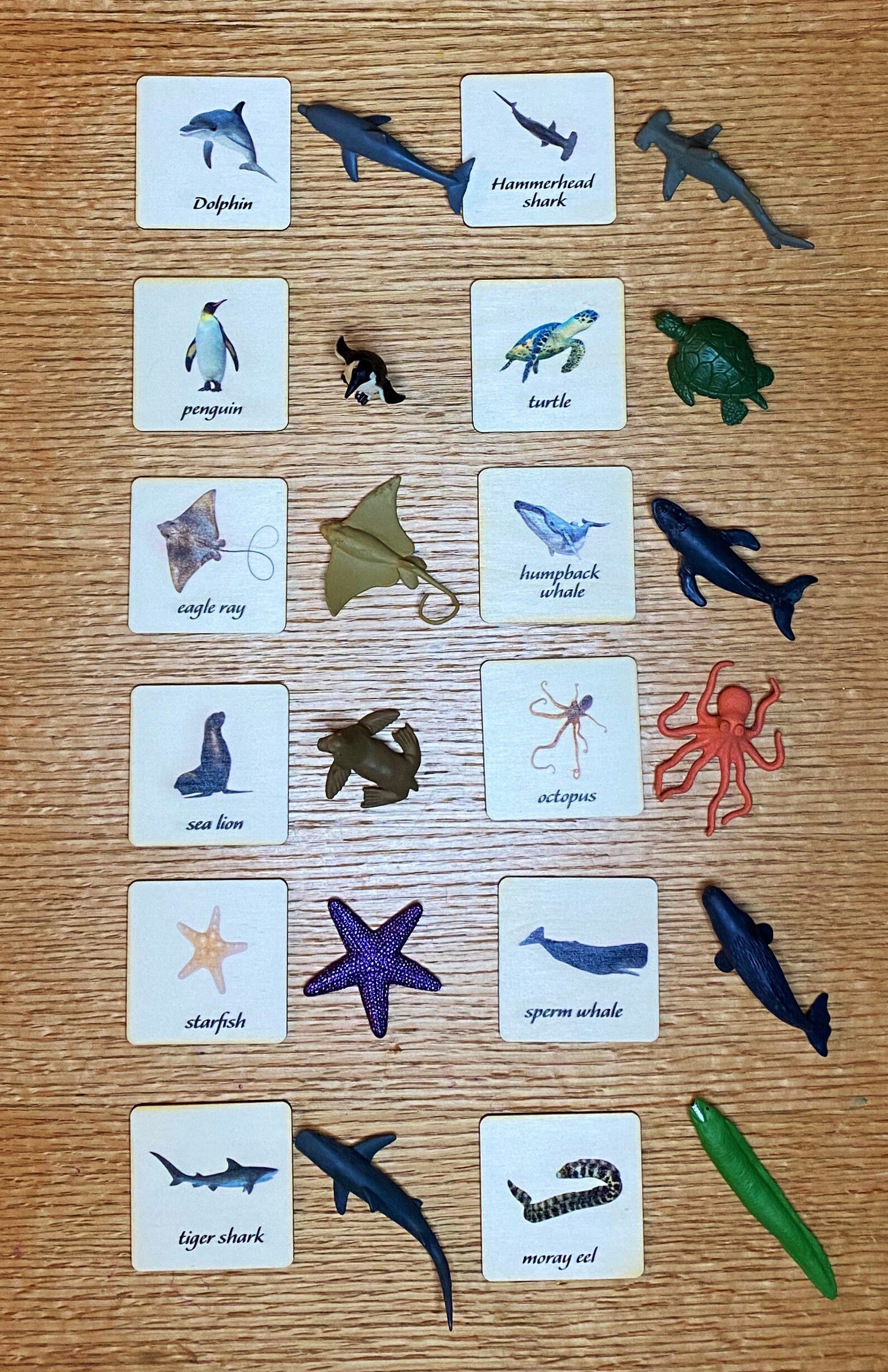 Sea Life Animal Montessori Matching Cards, Homeschool Learning - Etsy