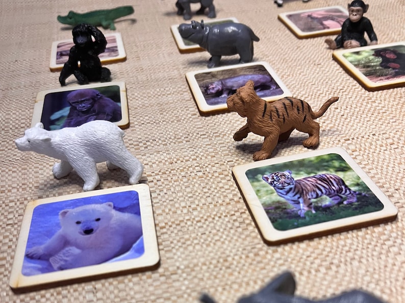 Montessori Baby Zoo Animal Matching Cards, Safari Ltd. Toys - Etsy Canada