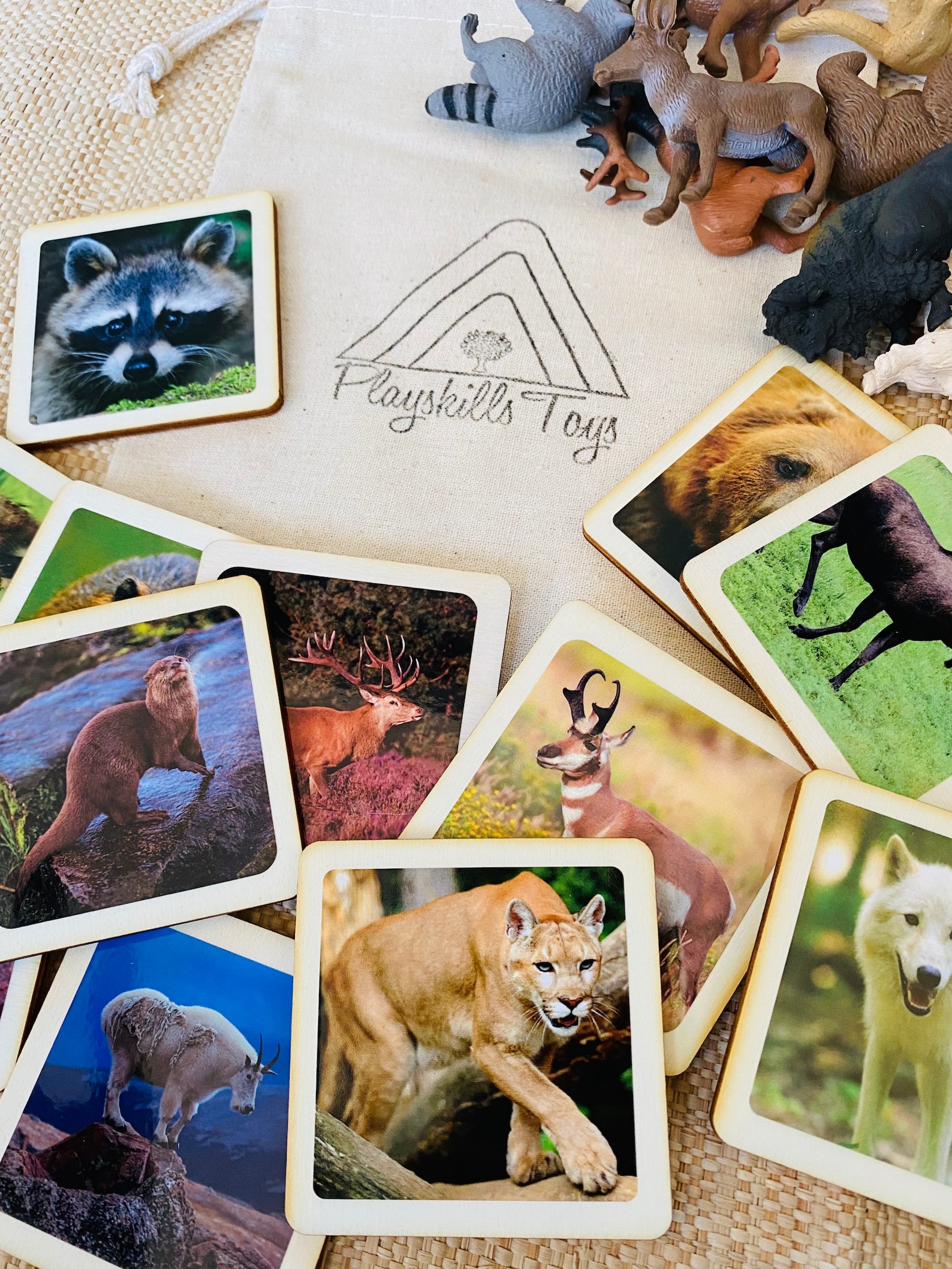 North American Wildlife Matching Game, Montessori Animal Cards, Waldorf ...