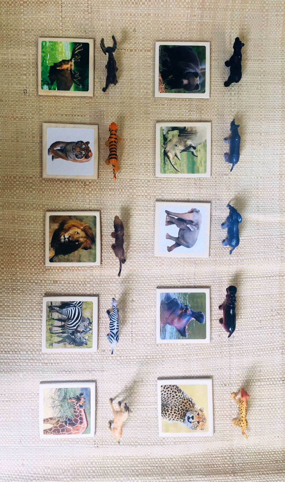 Montessori and Waldorf Learning Wild Animal Sustainable Match - Etsy