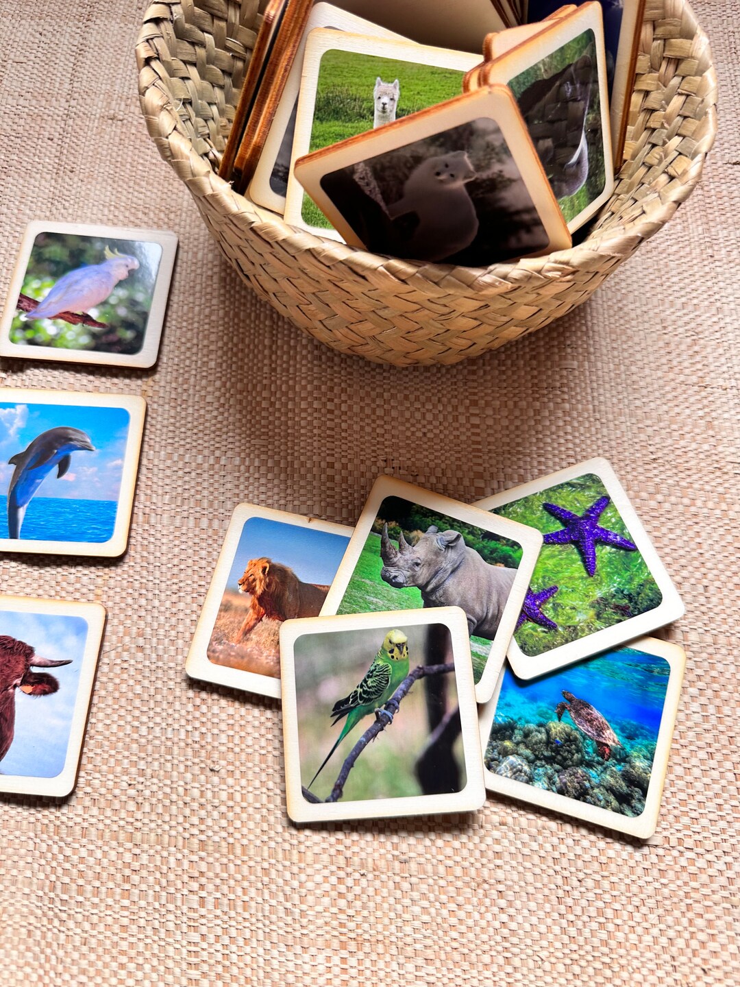 Wooden Animal Picture Matching Game - Montessori Learning Toy - Etsy
