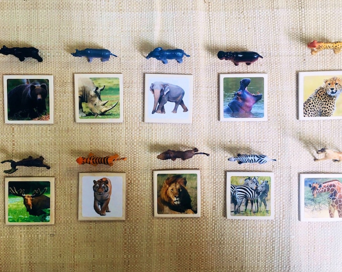 Montessori and Waldorf Learning Wild Animal Sustainable Match - Etsy