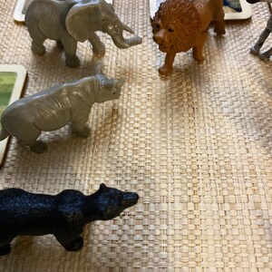 Montessori Wild Animals With Figurines Safari Toob Ltd , Matching Game ...