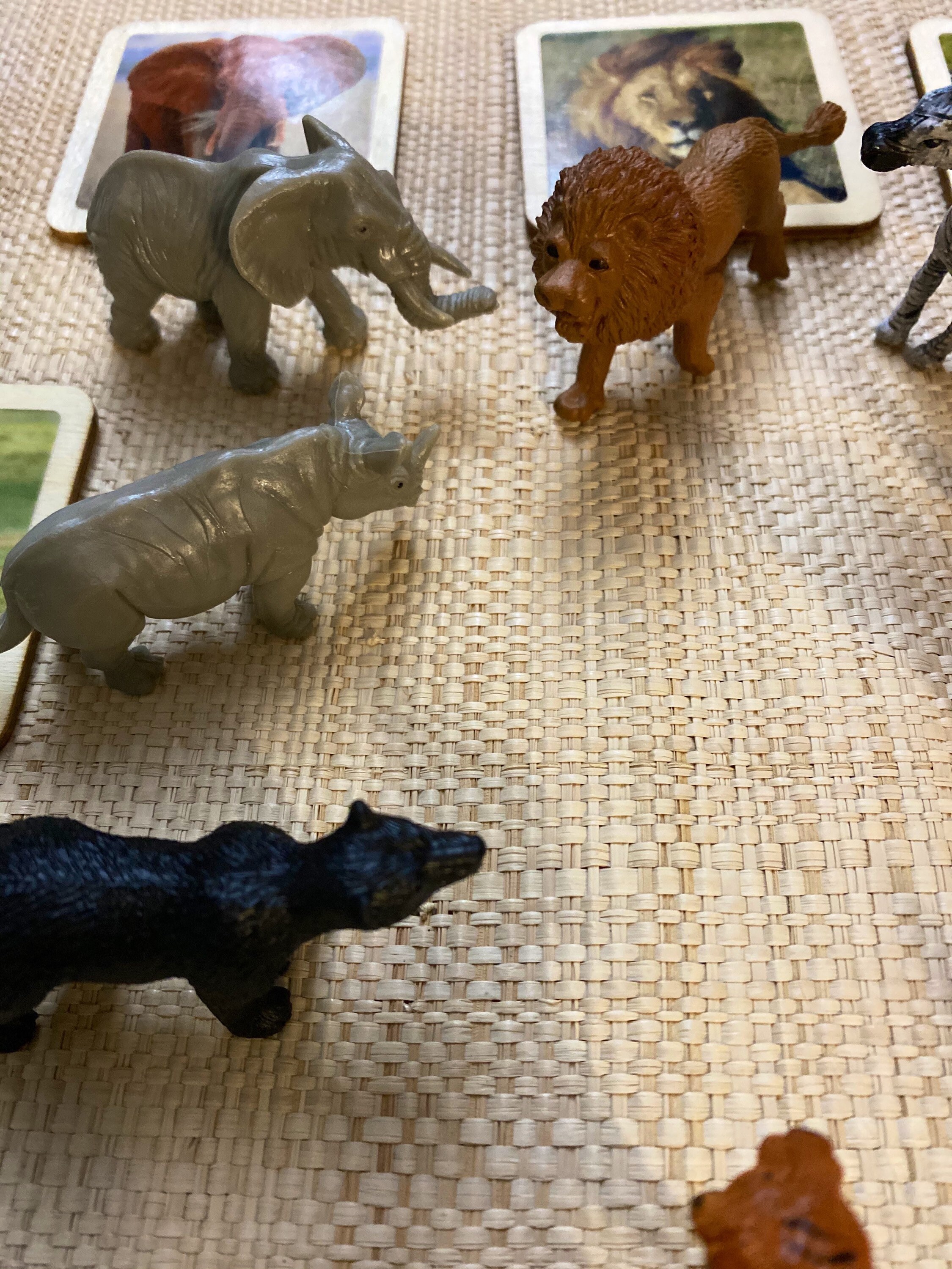 Montessori Wild Animals With Figurines Safari Toob Ltd | Etsy