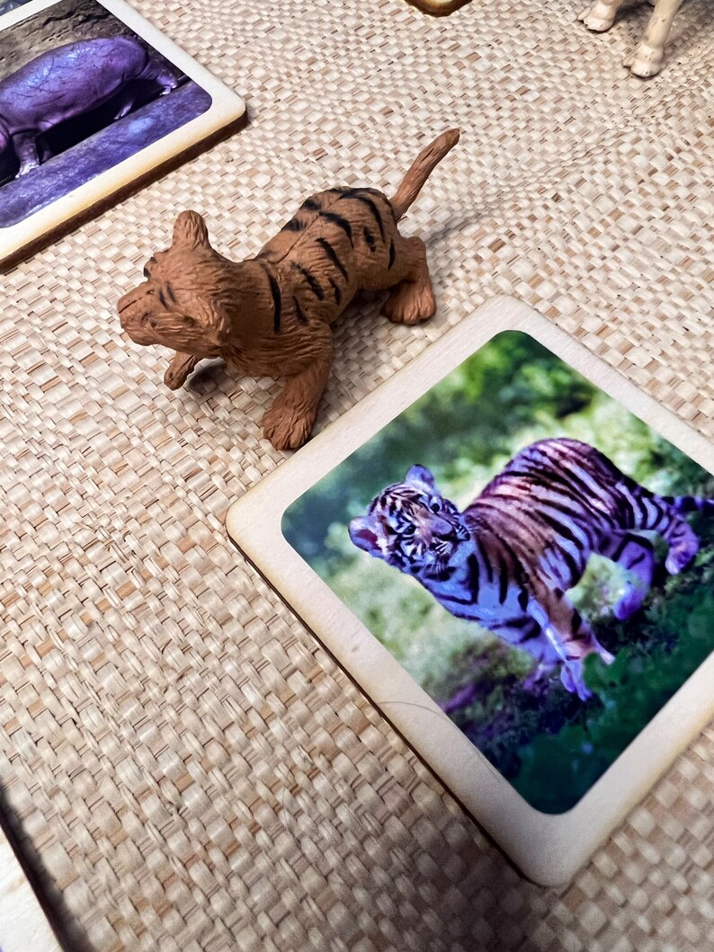 Montessori and Waldorf Learning Baby Zoo Animals Sustainable - Etsy