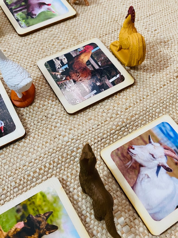 Montessori and Waldorf Learning Farm Animal Sustainable Match - Etsy