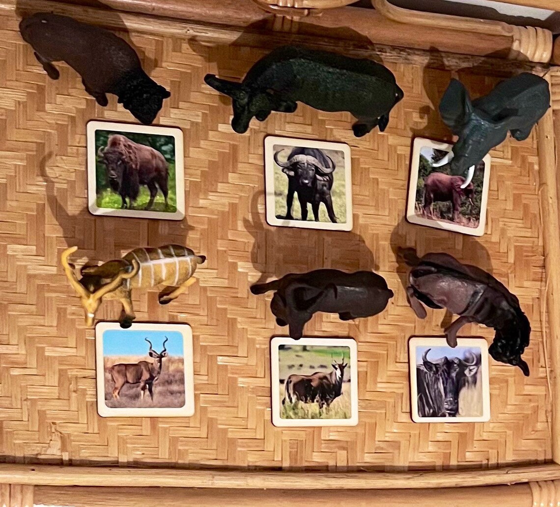 Wooden Wild Animals Cards With Big Size Realistic Animals - Etsy