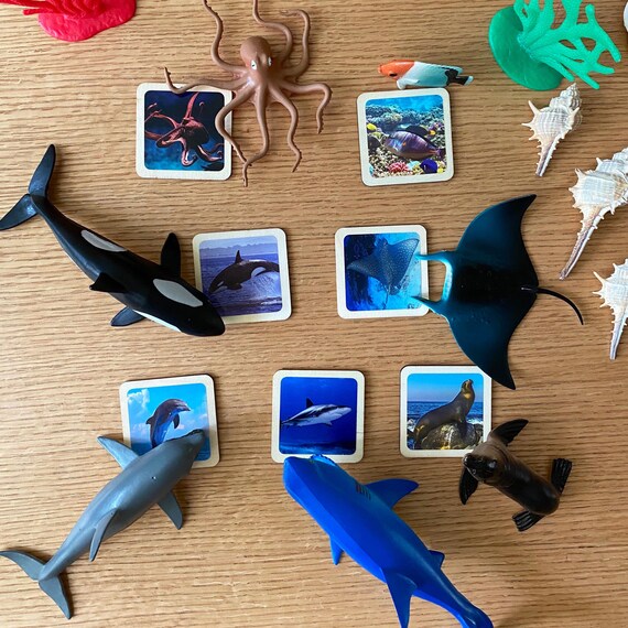 Montessori and Waldorf learning Sea life Animals sustainable | Etsy