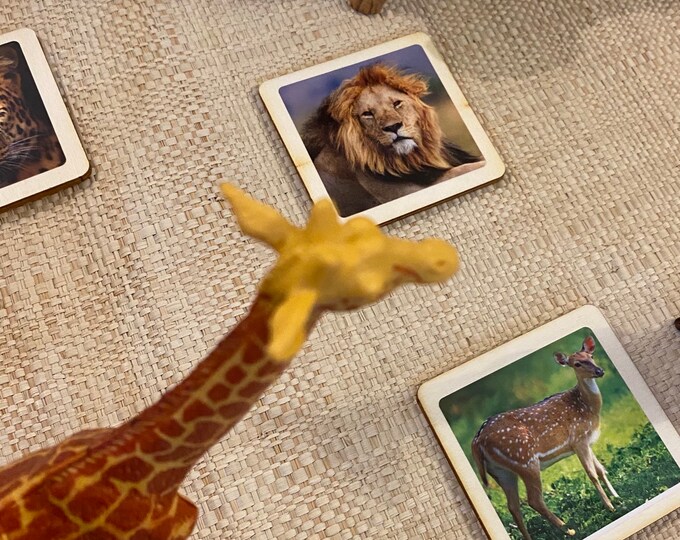 Wooden Wild Animals Cards With Big Size Realistic Animals | Etsy