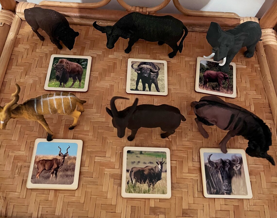 Wooden Wild Animals Cards With Big Size Realistic Animals - Etsy