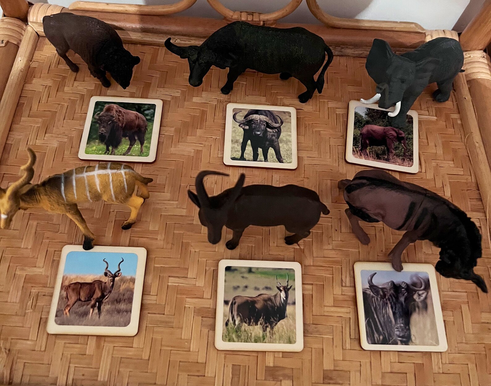 Montessori Wooden Wild Animal Cards, Matching Game - Etsy