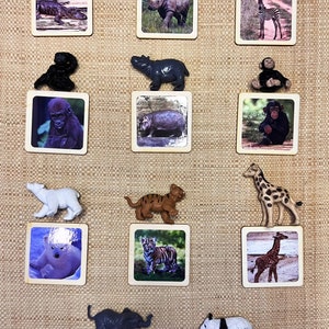 Montessori and Waldorf Learning Baby Zoo Animals Sustainable Match Toys ...