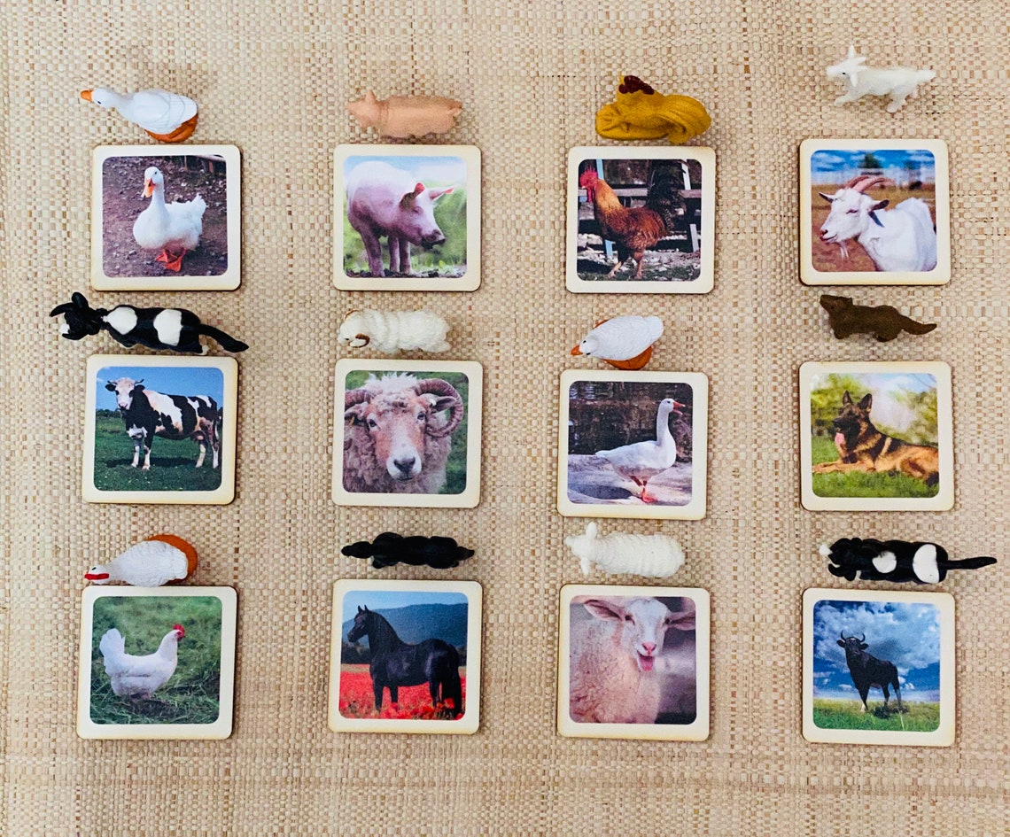 Montessori and Waldorf Learning Farm Animal Sustainable Match Toys ...