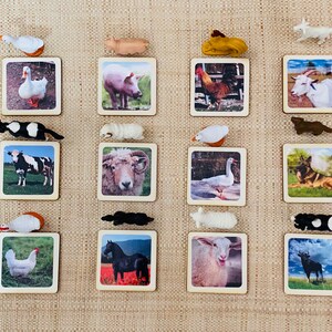Montessori and Waldorf Learning Farm Animal Sustainable Match Toys ...