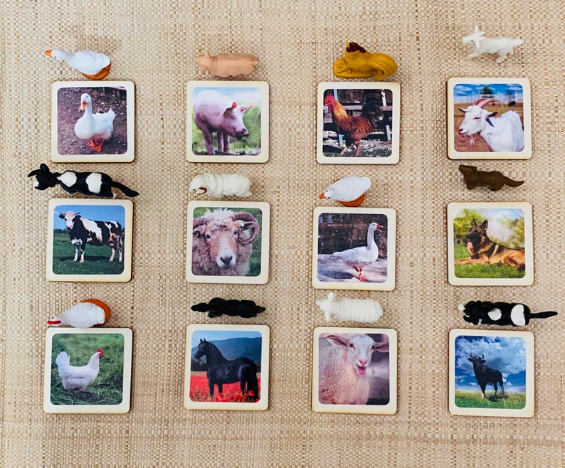 Montessori and Waldorf Learning Farm Animal Sustainable Match Toys ...