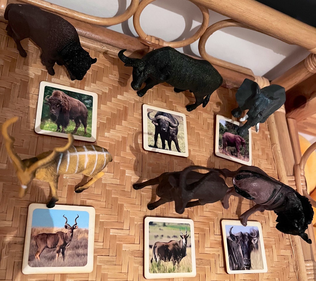 Montessori Wooden Wild Animal Cards, Matching Game - Etsy
