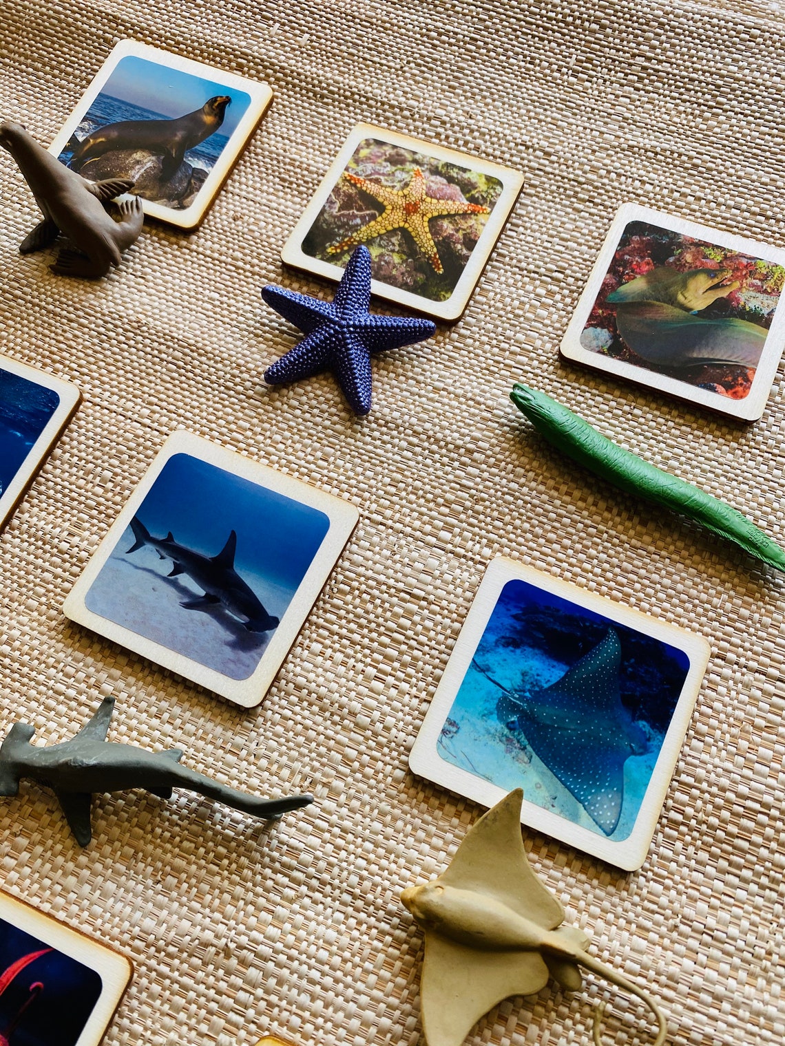 Montessori Sea Life Matching Game, Waldorf Learning Cards - Etsy