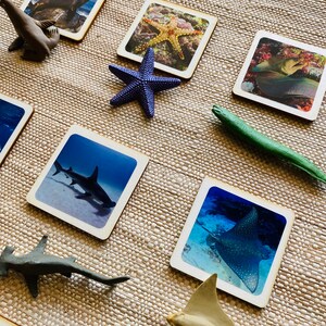 Montessori and Waldorf Learning Sea Life Animals Sustainable Match Toys ...