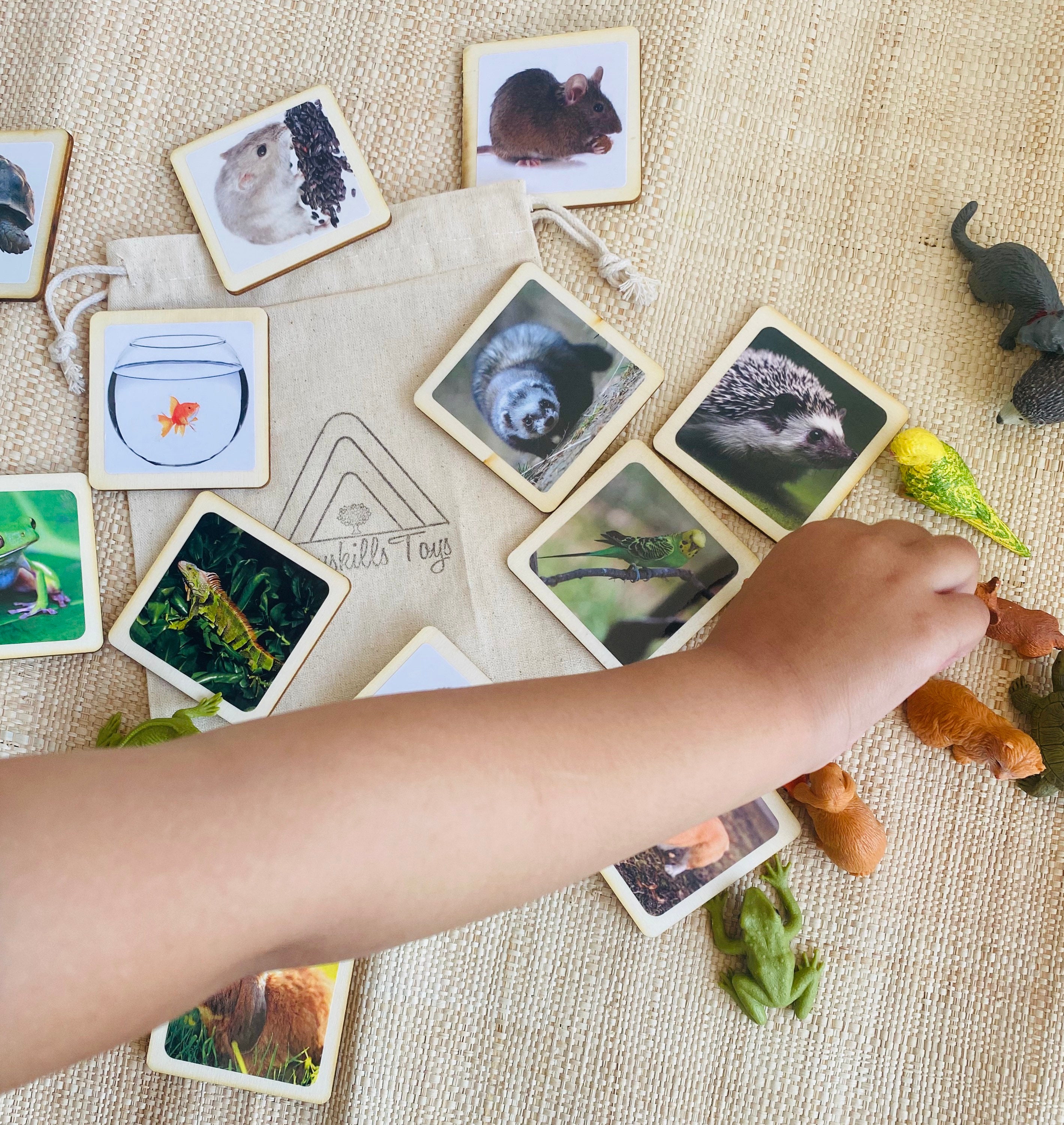 Montessori Safari Animal Matching Cards, Wooden Learning Toy - Etsy