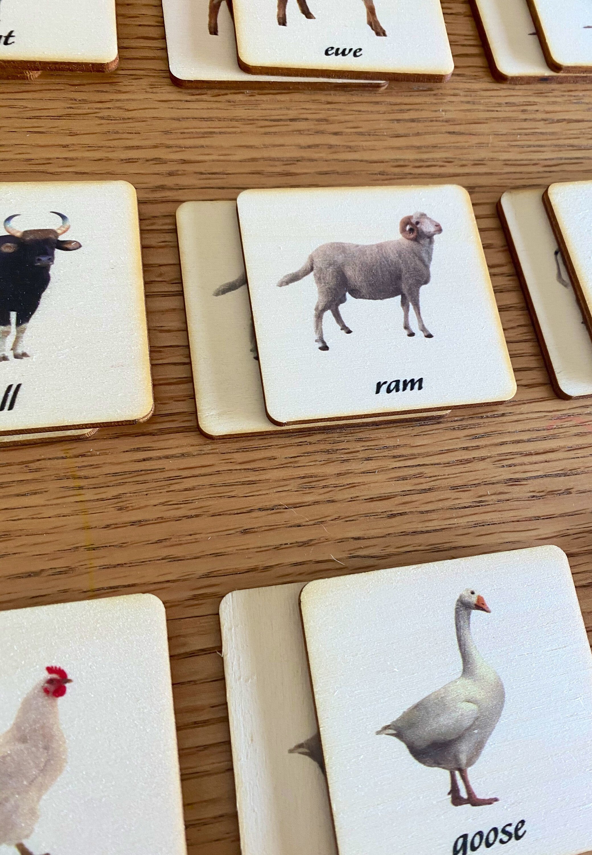 Montessori Memory Game Learning Farm Animals. - Etsy