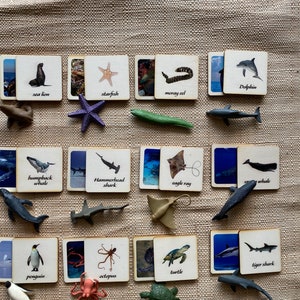 3 - Parts Montessori and Waldorf Learning Sea Life Animals Sustainable ...