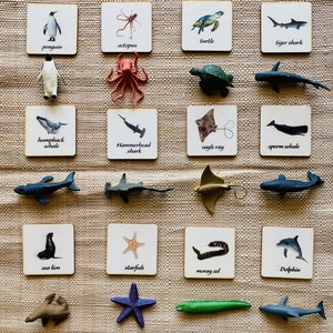 Montessori and Waldorf Learning Sea Life Animals Sustainable Match Toys ...