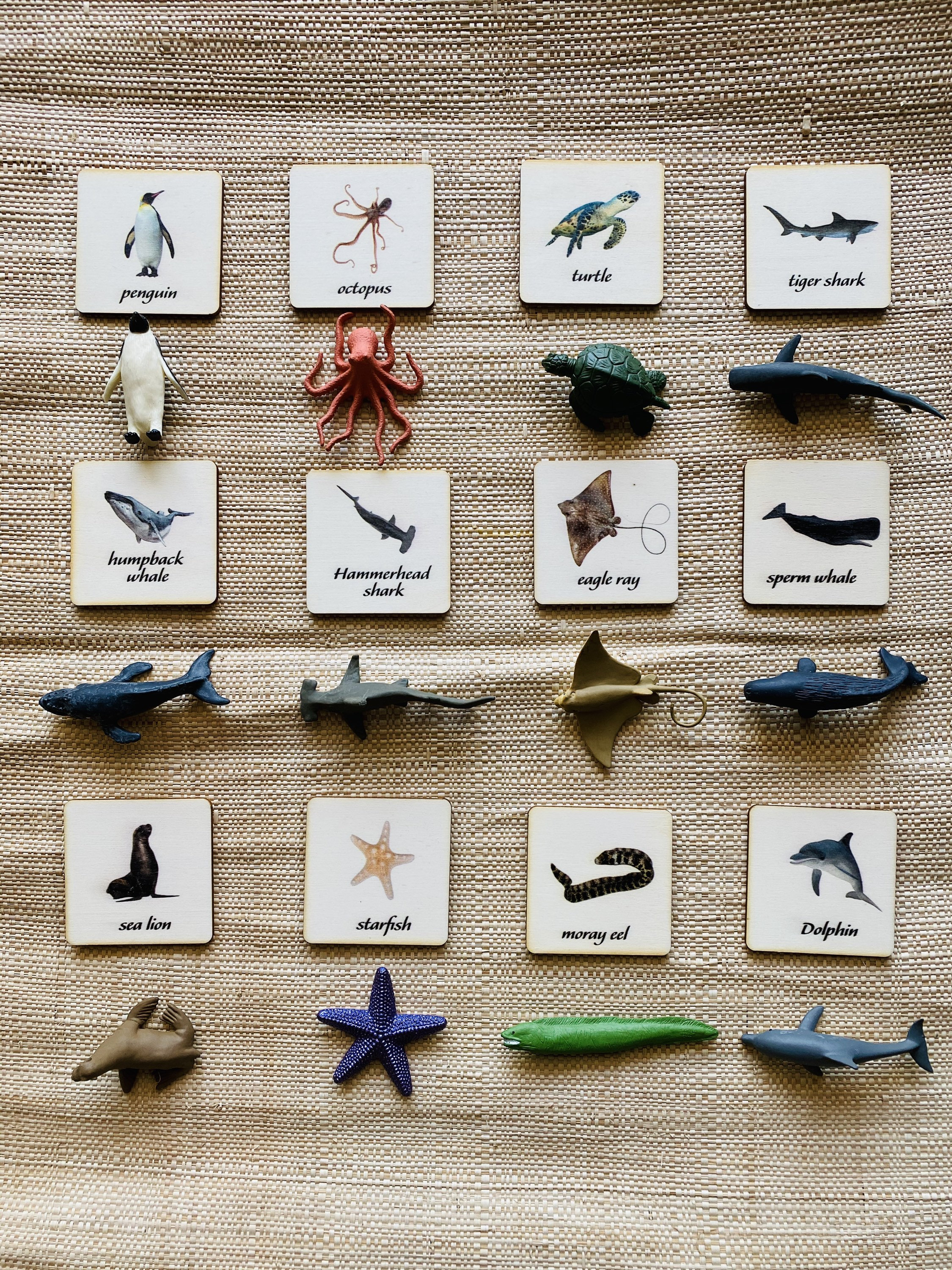 Montessori Sea Life Animal Toys With Wooden Matching Cards - Etsy
