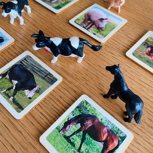 Montessori and Waldorf Learning Farm Animal Sustainable Match Toys ...