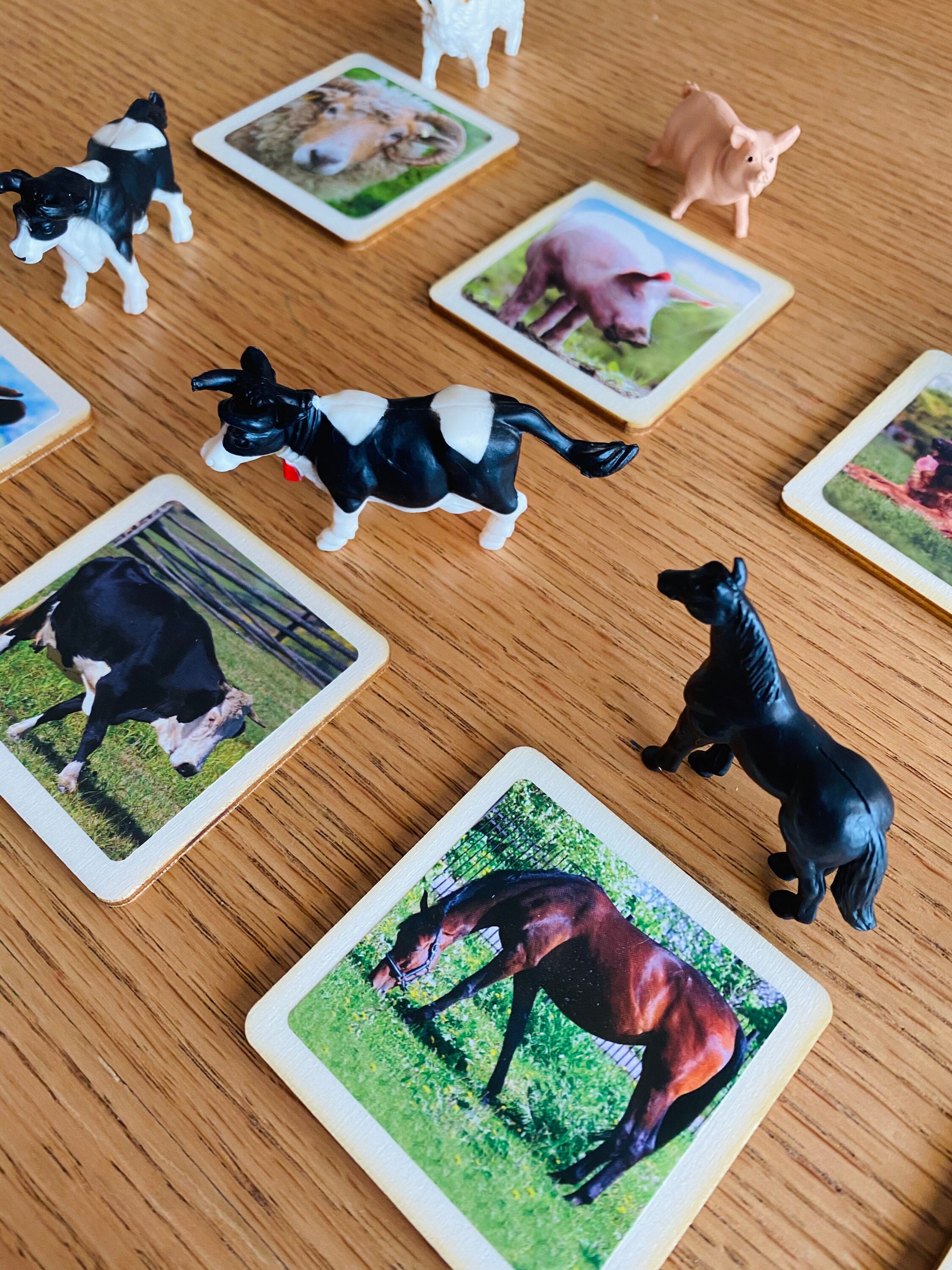 Montessori Farm Animals Matching Cards: Miniature Toys, Wooden Squares ...