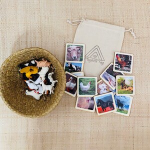 Montessori and Waldorf Learning Farm Animal Sustainable Match Toys ...