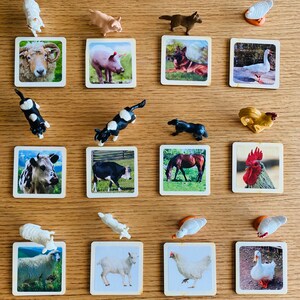 Montessori and Waldorf Learning Farm Animal Sustainable Match Toys ...
