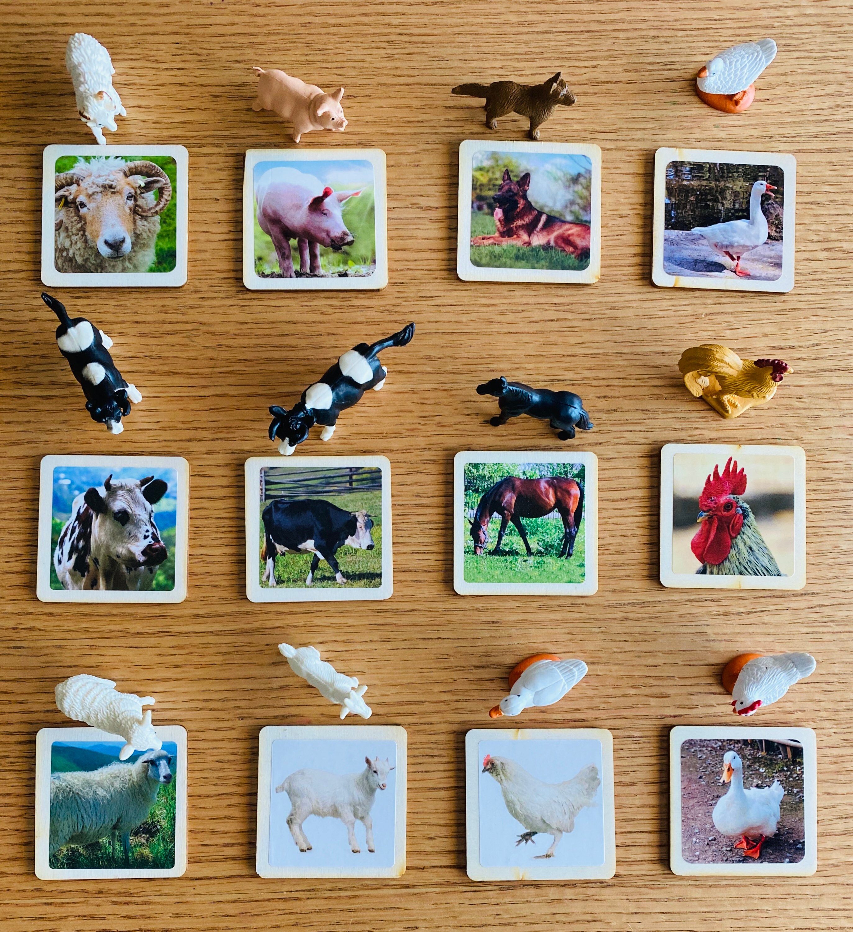 Montessori Farm Animals Matching Cards: Miniature Toys, Wooden Squares ...