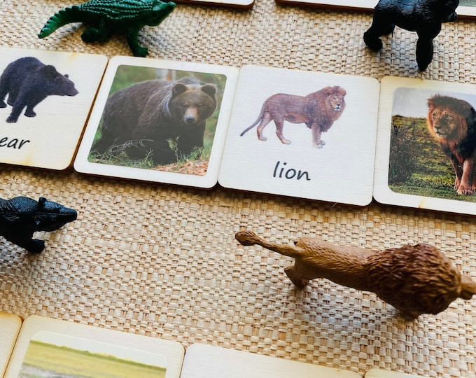 Montessori Farm Animal Matching Cards, Homeschool Learning Toys - Etsy ...