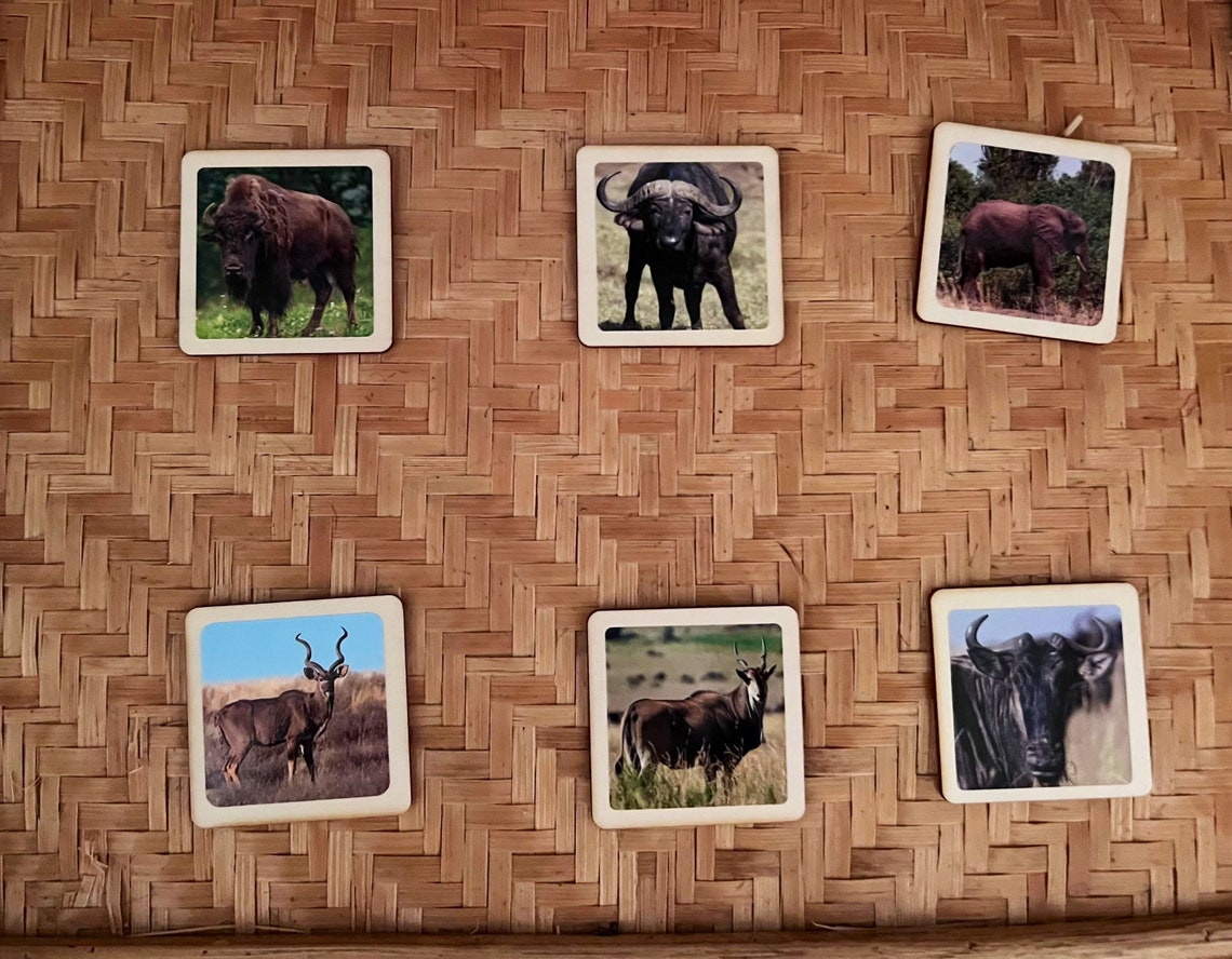 Wooden Wild Animals Cards With Big Size Realistic Animals - Etsy