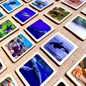 50 Flash Cards Montessori - Waldorf - Reggio Learning Toy, Wooden Toys ...