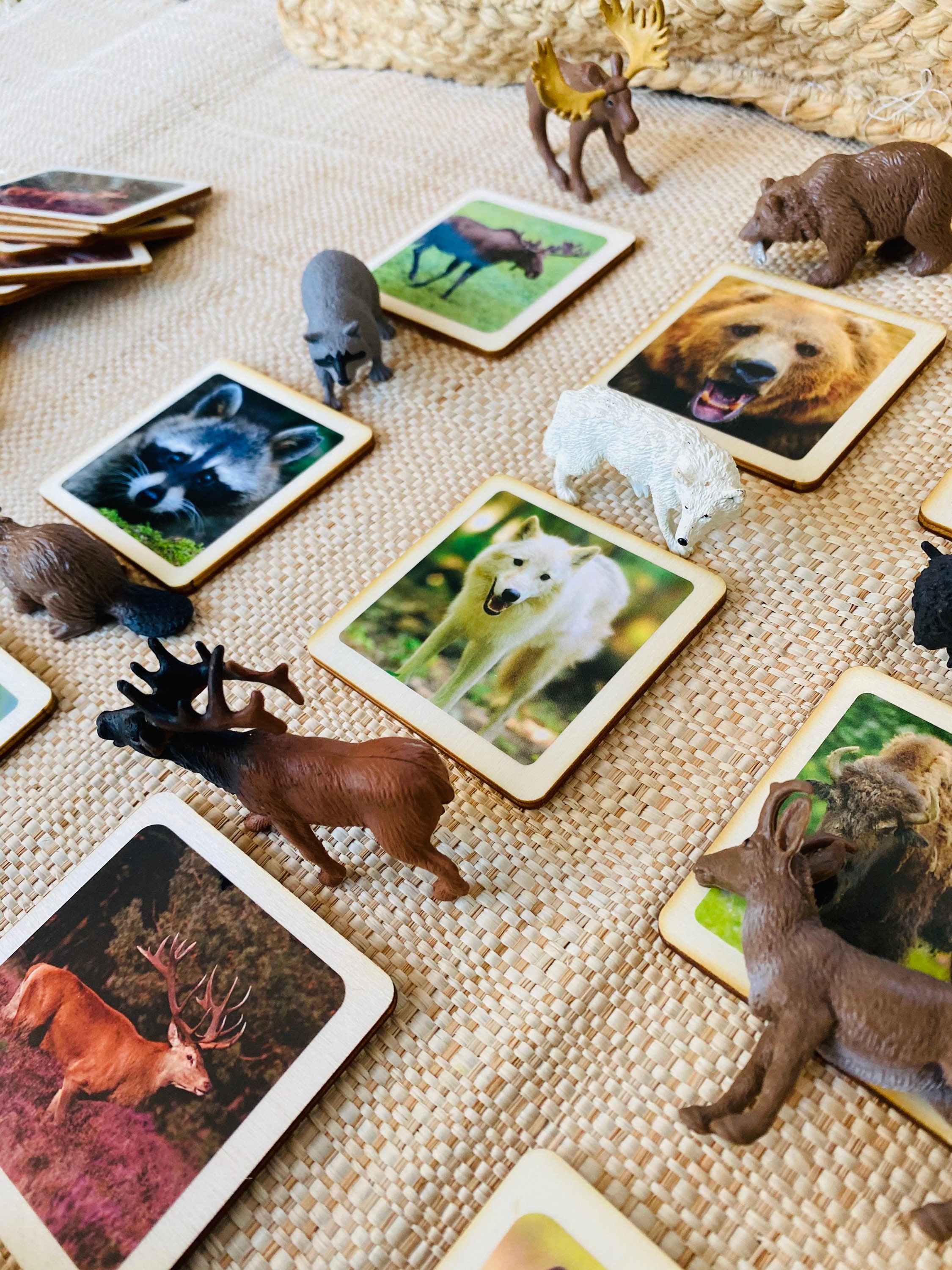 North American Wildlife Matching Game, Montessori Animal Cards, Waldorf ...