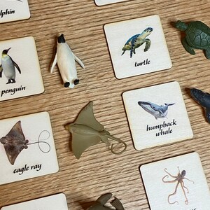 Montessori and Waldorf Learning Sea Life Animals Sustainable Match Toys ...