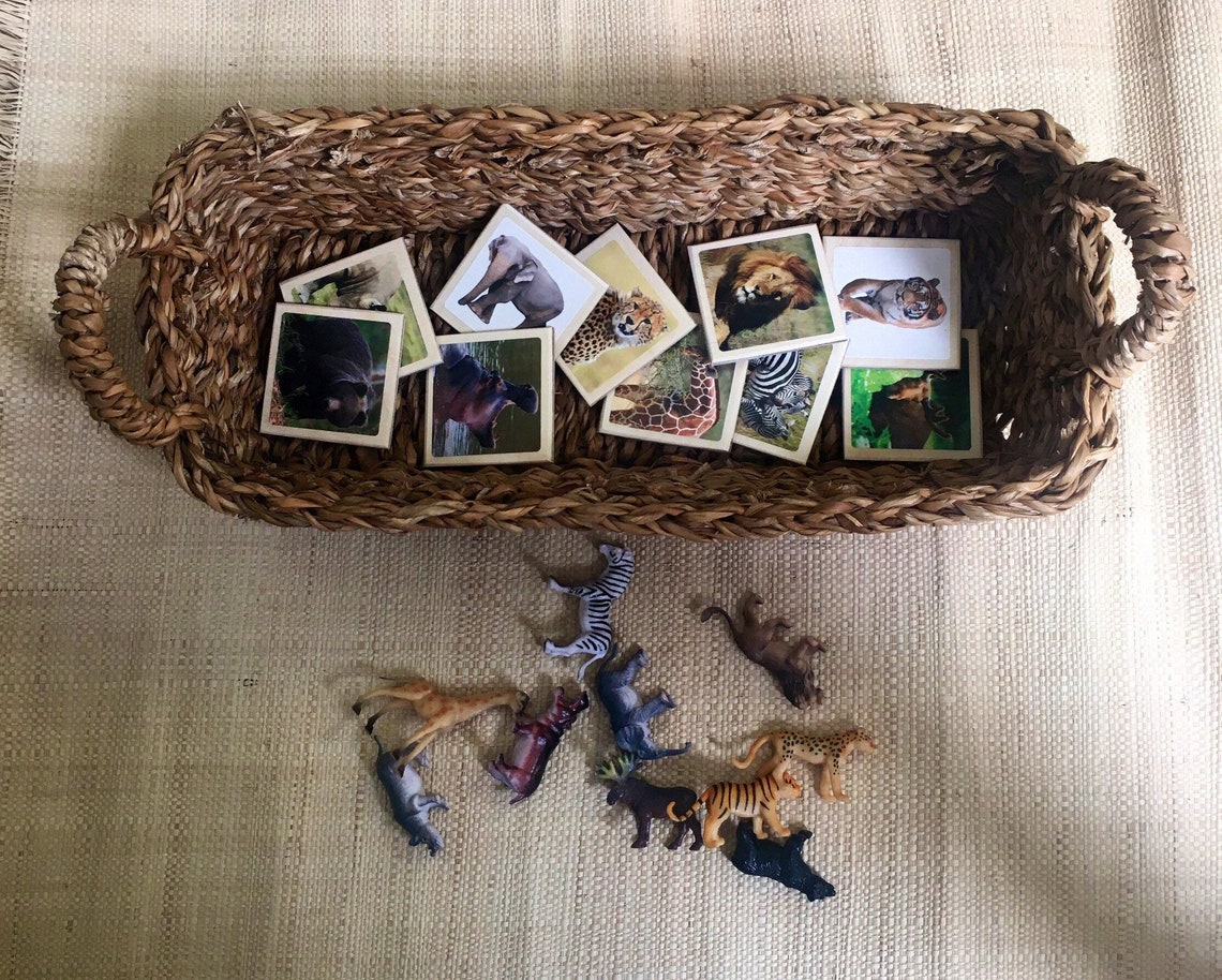 Montessori and Waldorf Learning Wild Animal Sustainable Match - Etsy